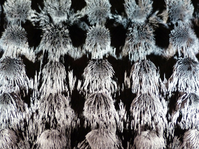 Magnetisme-straling-en-elektriciteit